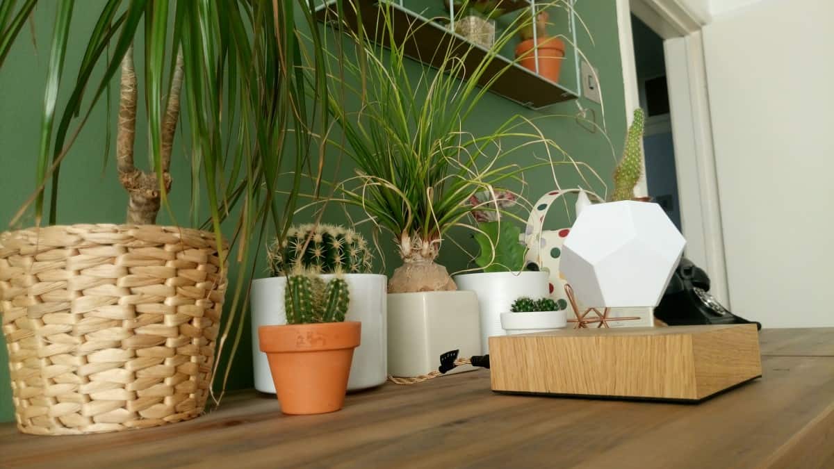 LYFE : The Levitating Plant Pot - The Design Sheppard